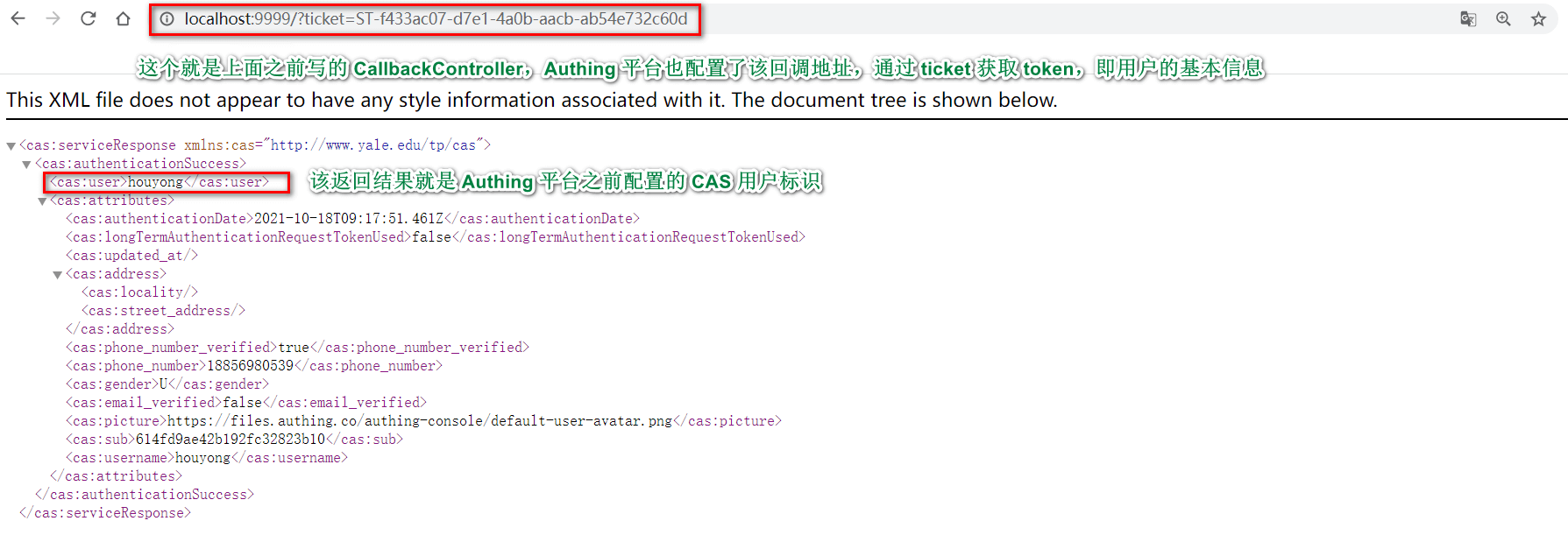 Spring Security 集成 Authing CAS 快速开始 | Authing 文档